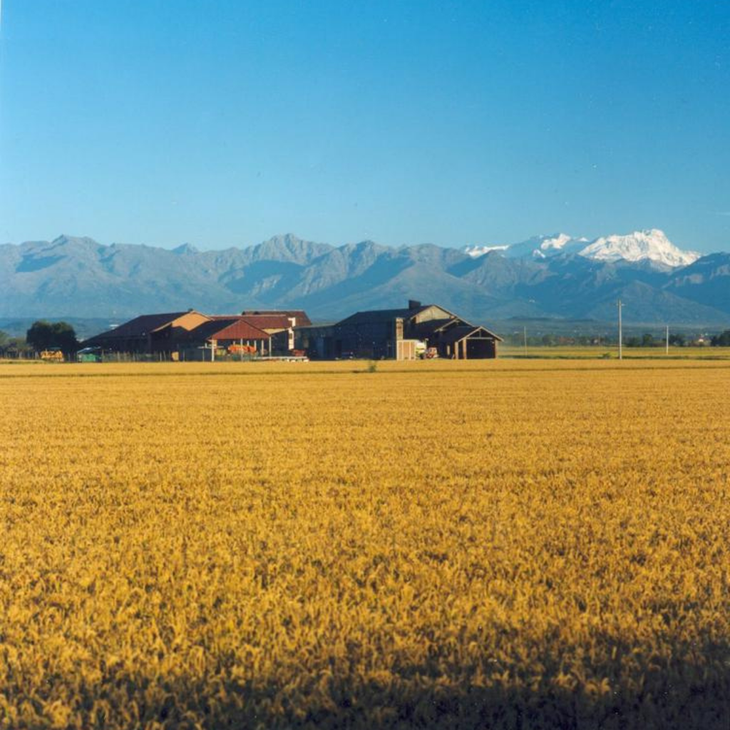 Cascina Belvedere – Naturalmente Sano